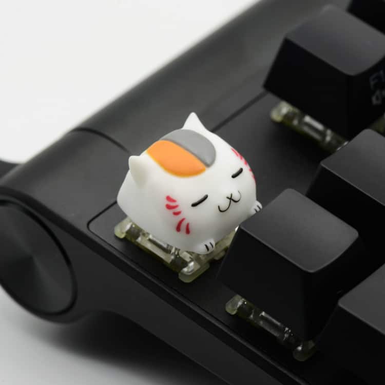 Logitech keyboard keycap converter - Convert the Romer-G switch to the ...